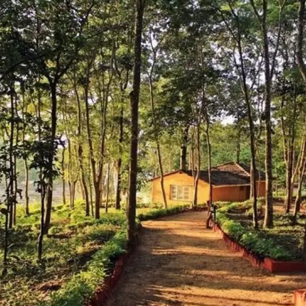 Kanha national park - Indic Holidays